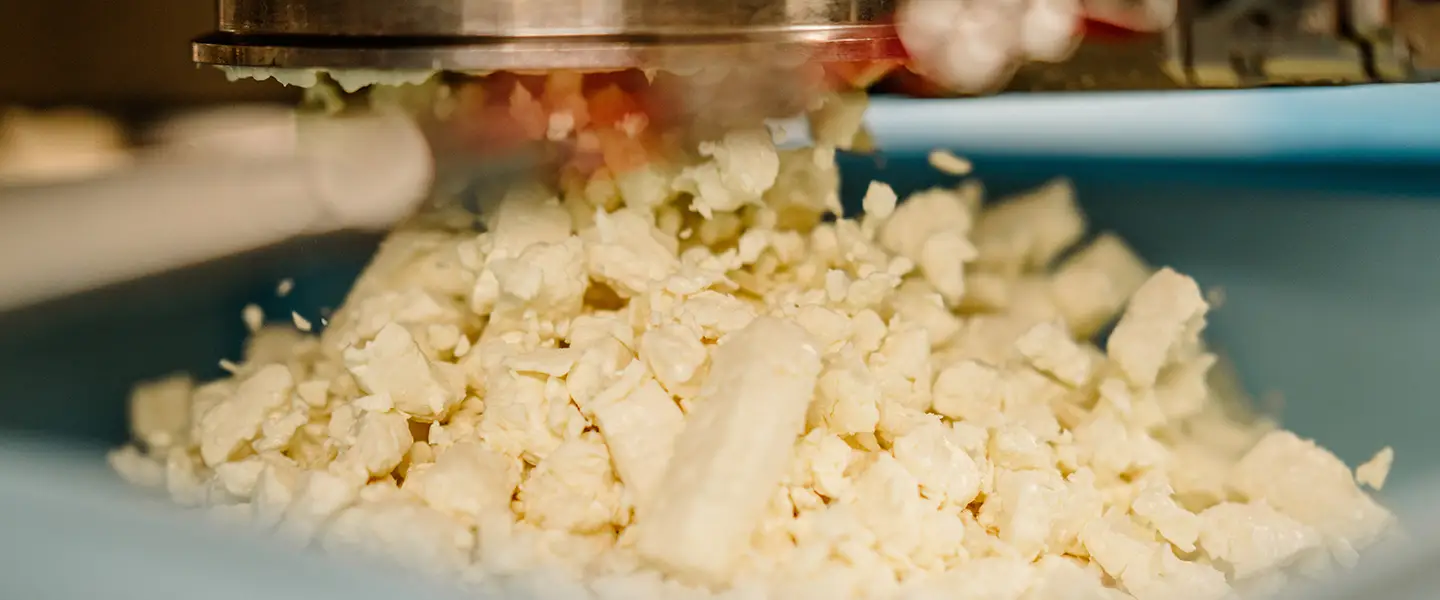 Cheese Yield Optimization - Ever.Ag