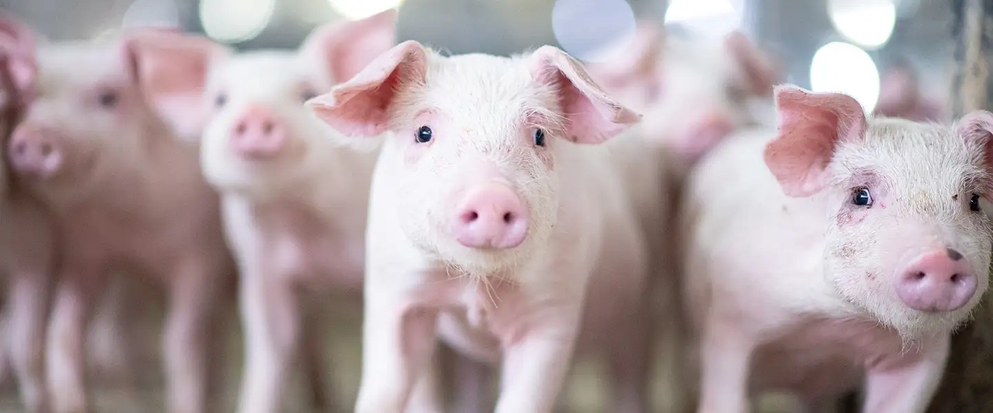 Prairie Systems FAS - Ever.Ag