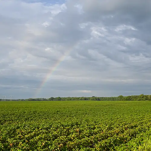 Sustainable Agriculture Solutions by Ever.Ag: Accelerate Impact ...